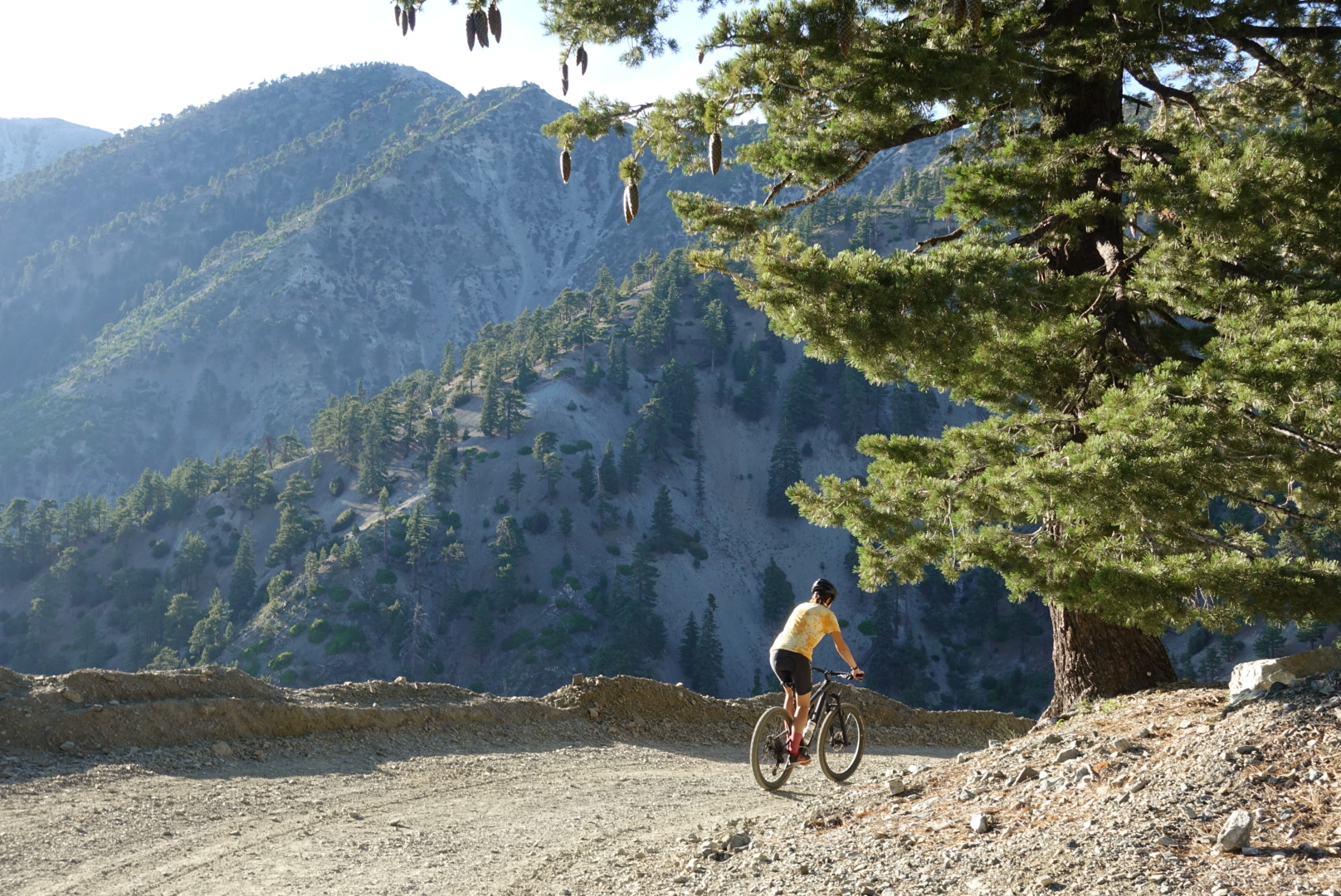 LA Trails - Lowelifes Respectable Citizens' Club