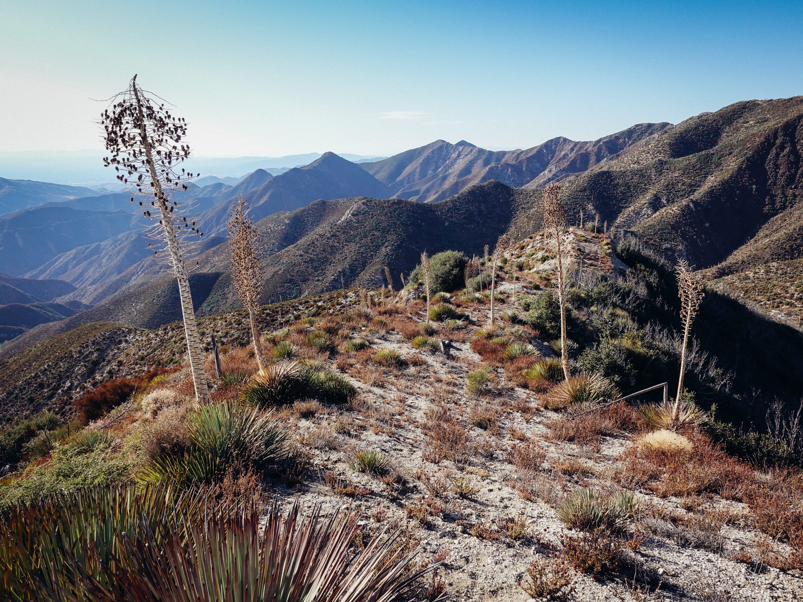 Condor Peak Trail Restoration Begins - Lowelifes Respectable Citizens' Club