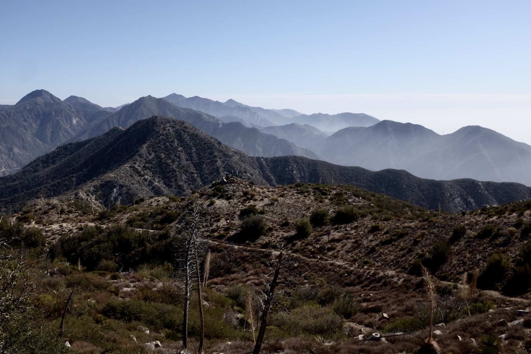 Condor Ridge. Going Deep. - Lowelifes Respectable Citizens' Club