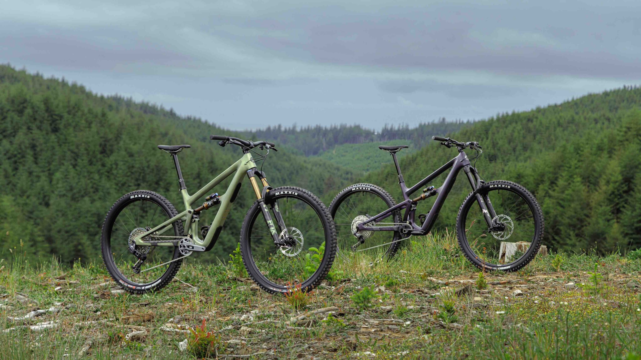 Ibis Dream Bike Fundraiser - Lowelifes Respectable Citizens' Club